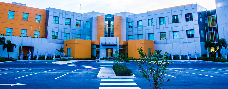 CXC to launch AI-powered literacy, numeracy system as part of digital ...